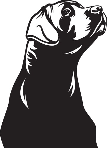 Labrador retriever - high quality logo ideal Vector Image