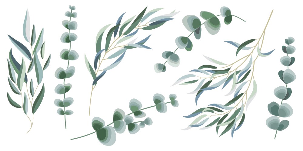 Eucalyptus Vector Images (over 20,000)