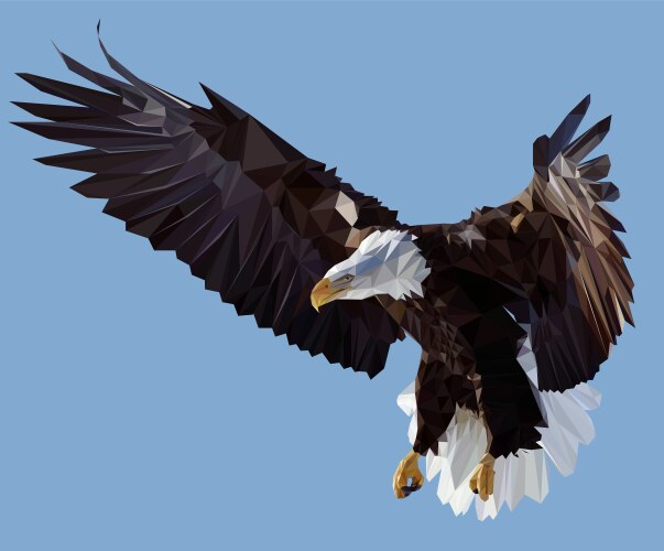 Condor Vector Images (over 1,000)