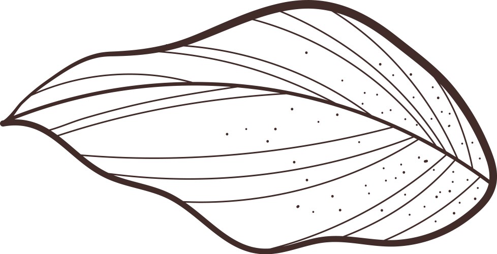 Sketch contour of simple leaf plant side view Vector Image