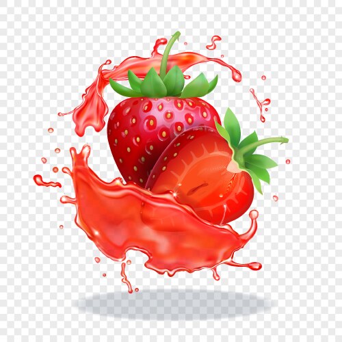 Forest mixed berries juice splash realistic Vector Image