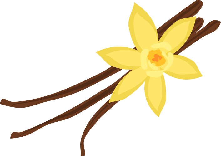 Vanilla Vector Images (over 65,000)