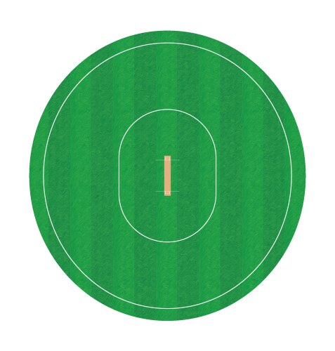 Cricket pitch Royalty Free Vector Image - VectorStock
