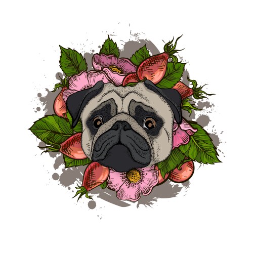 Pug Vector Images (over 10,000)