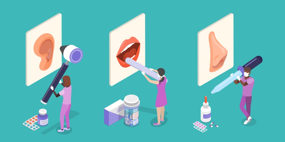 Ent medical clinic poster with human organs Vector Image