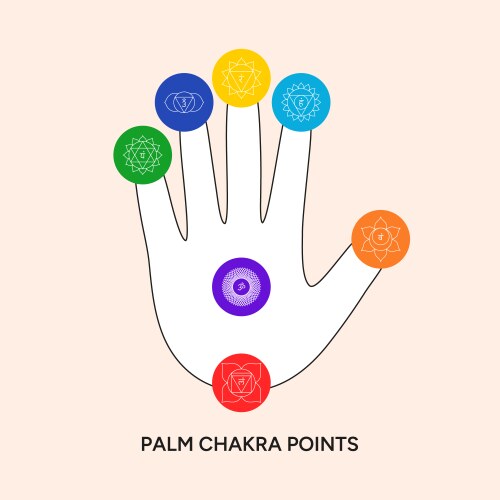 Palm chakra points chakras on a hand Royalty Free Vector