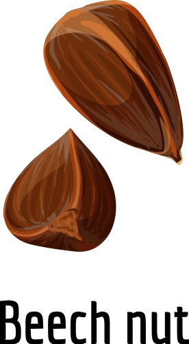 Pili nut icon cartoon style Royalty Free Vector Image