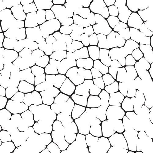 Craquelure pattern grunge cracks cracked painted Vector Image