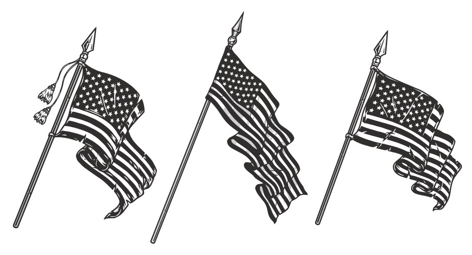 Monochrome american flag template Royalty Free Vector Image