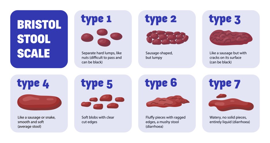 Beaufort wind force scale Royalty Free Vector Image