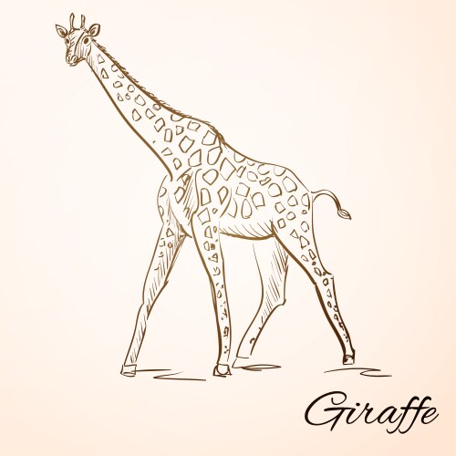 Giraffe Vector Images (over 41,000)