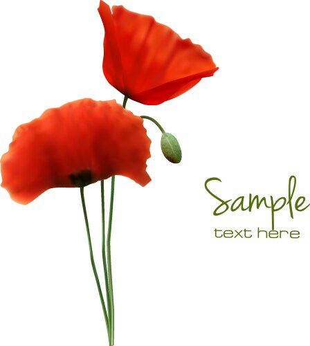 Poppy Vector Images (over 25,000)