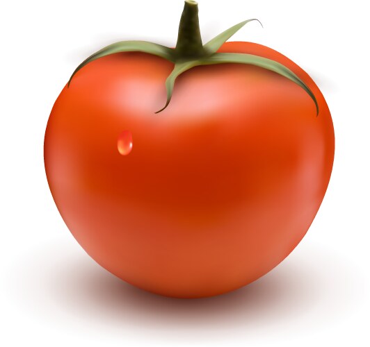 Tomato Vector Images (over 150,000)