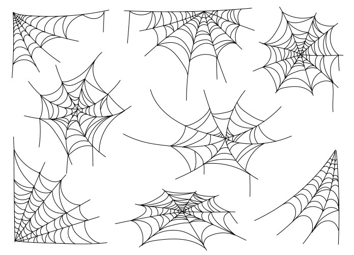 Decorative beautiful spider web children s Vector Image