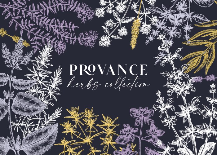 Provence Vector Images (over 7,200)