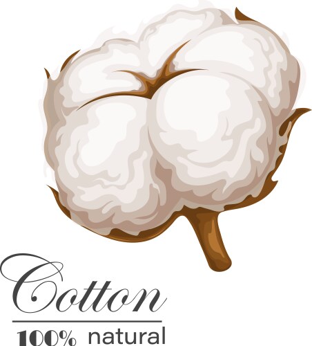 Cotton Vector Images (over 170,000)