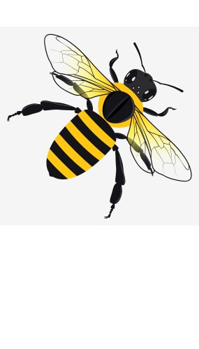 Bee Royalty Free Vector Image - VectorStock