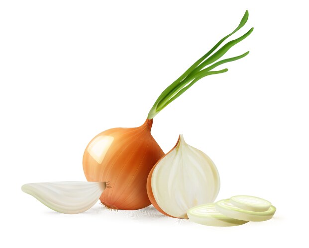 Onion Vector Images (over 61,000)