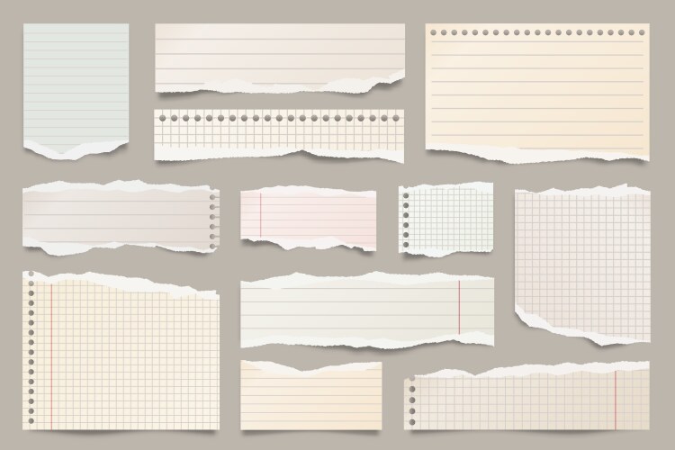 Notebook papers with torn ripped edge set Vector Image