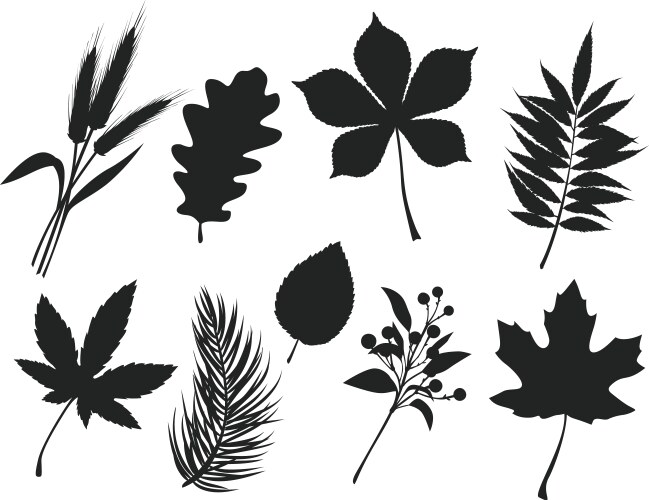 Fall Silhouettes Vector Images (over 51,000)