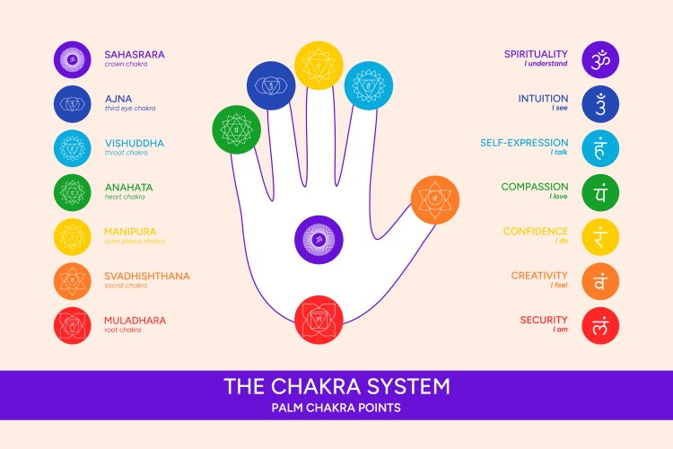 Chakras on a hand palm infographic Royalty Free Vector Image