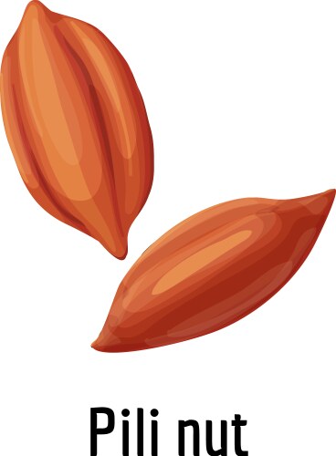 Hazelnut icon cartoon style Royalty Free Vector Image