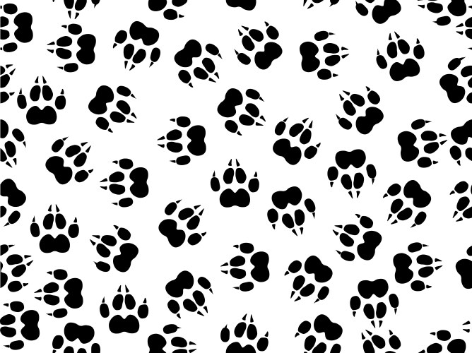 Wildcat Vector Images (over 13,000)