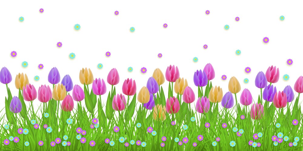 Spring floral border with colorful tulips on fresh