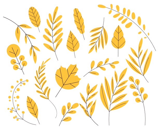 Autumn floral design elements Royalty Free Vector Image
