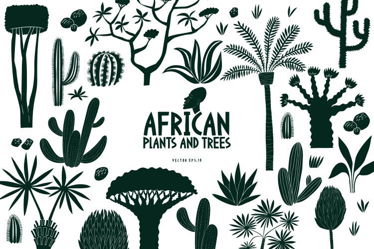 African rainforest vegetation acacia baobab Vector Image