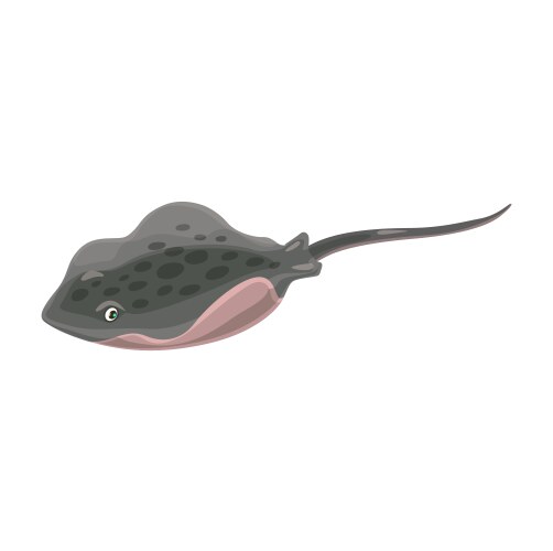 Cartoon Fish Stingray Vector Images (over 2,000)