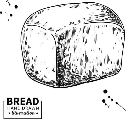 Bread drawing bakery product sketch Royalty Free Vector