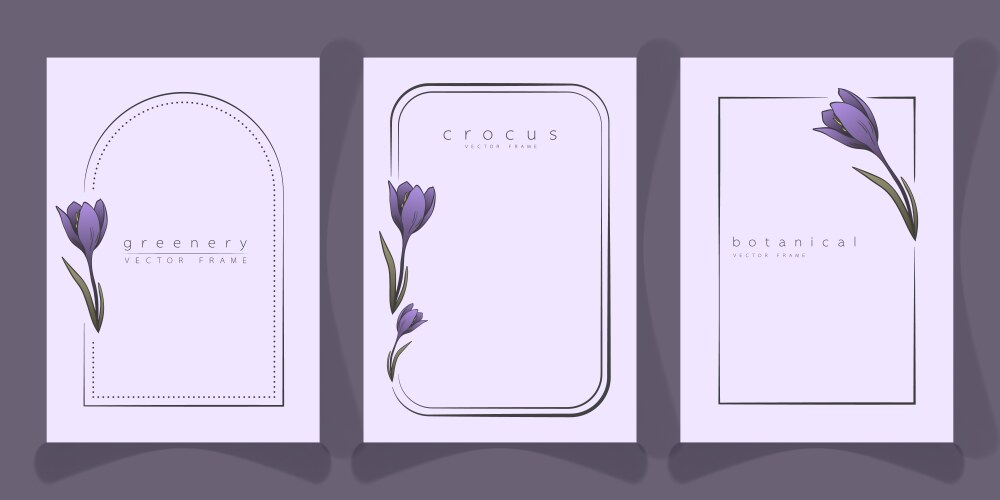 Botanical line art set of crocus flower frames Vector Image