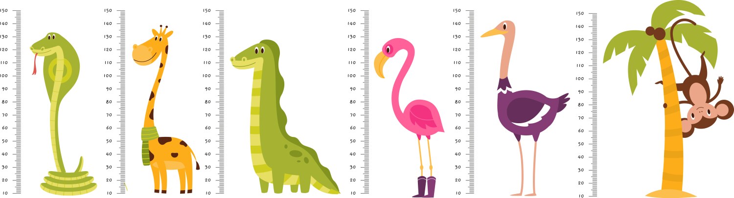 Measuring rulers school ruler metric scale Vector Image