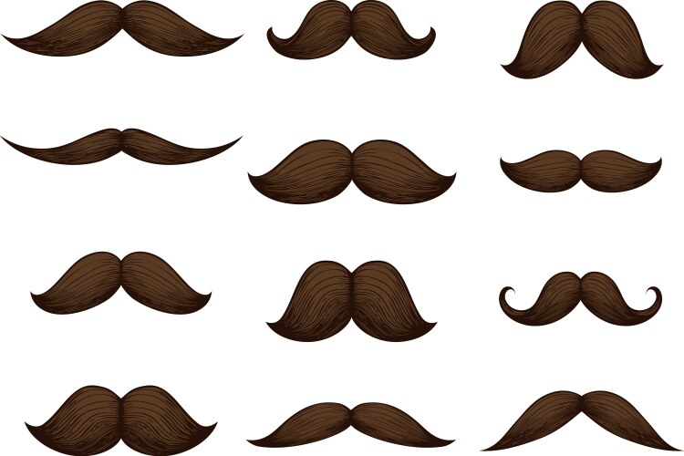 Three mustache set Royalty Free Vector Image - VectorStock