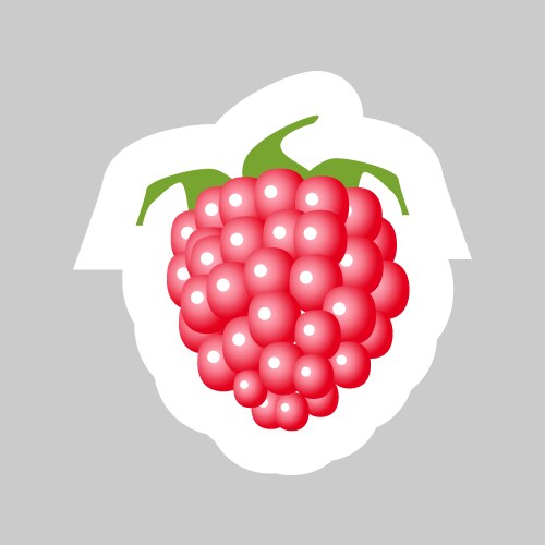 Raspberry Royalty Free Vector Image - VectorStock