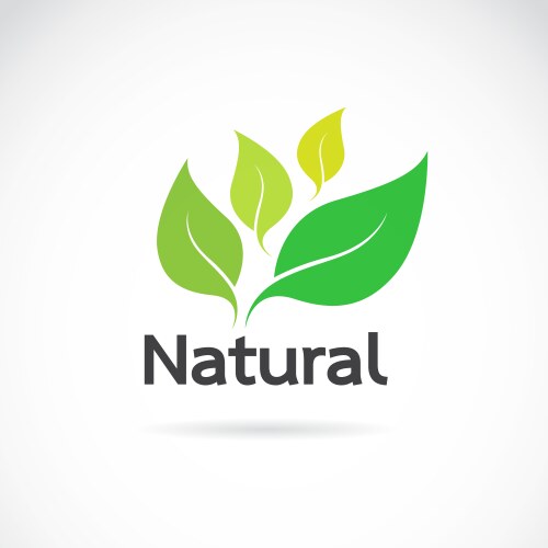Natural Logo Vector Images (over 1 million)