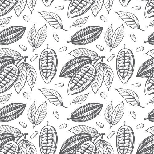Cocoa tree chocolate beans seamless pattern Vector Image