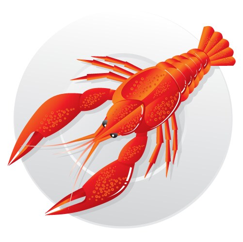 Crawfish Boil Vector Images (over 340)