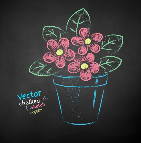 Flower Pot Outline Vector Images (over 17,000)