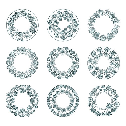 Queen Annes Lace Vector Images (33)