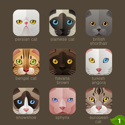 Animal faces for app icons-set 15 Royalty Free Vector Image