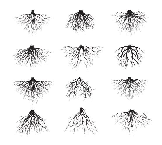 Tree Roots Black and White Vector Images (over 8,400)