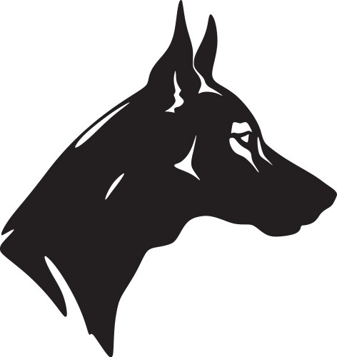Australian Kelpie Vector Images (over 160)