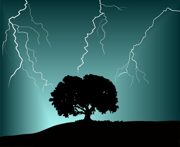 Background scene with thunder and rainstorm Vector Image