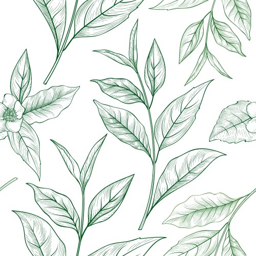 Tea Leaves Vector Images (over 20,000)