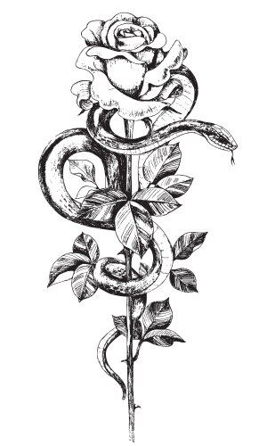 Twisted snake and rose flowers Royalty Free Vector Image