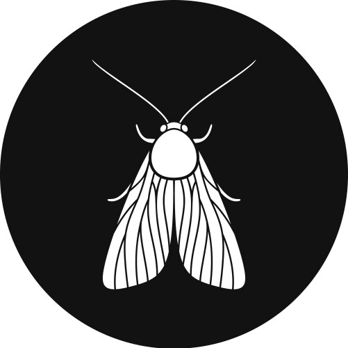 Moth Vector Images (over 22,000)