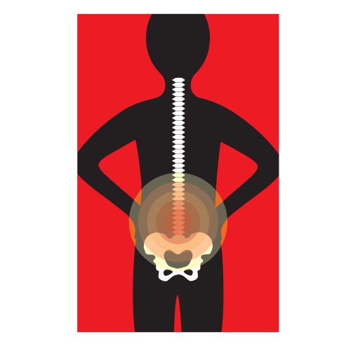 Muscular Back Vector Images (over 1,900)