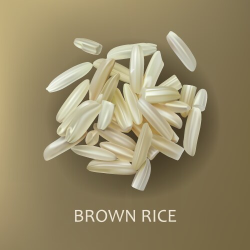 Brown Rice Vector Images (over 2,600)